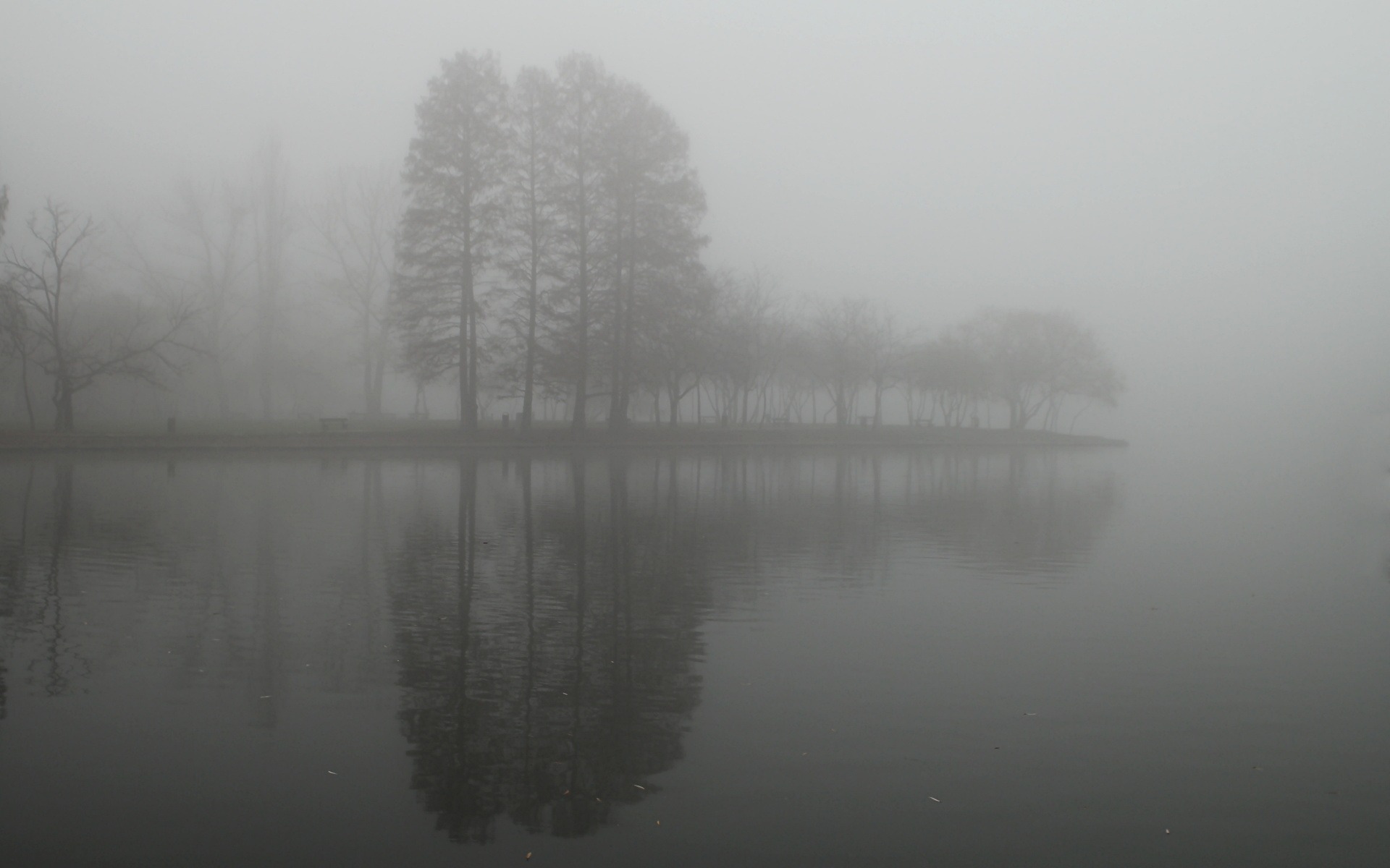 The Great Debate: Fog vs. Mist ‣ MM0ZIF Amateur Radio & Weather Station.